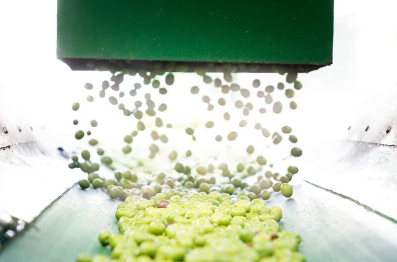 "Oro Bailén": Explore the Oil Mill + Tasting - The Sum Up