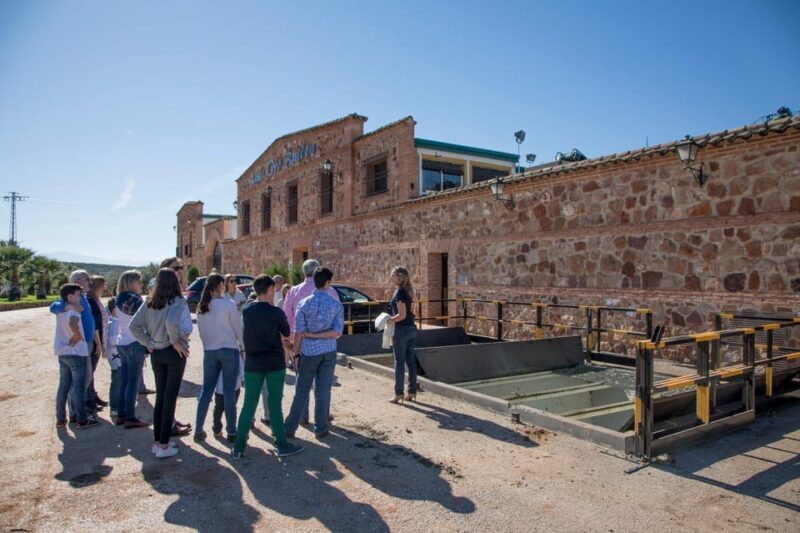 "Oro Bailén": Tour of Oro Bailen Grove + Mill + Tasting - Practical Details and Tips