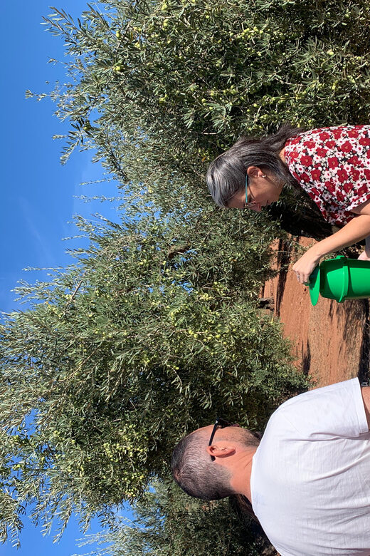 "Oro Bailén": Tour of Oro Bailen Grove + Mill + Tasting - FAQ: Your Practical Questions Answered