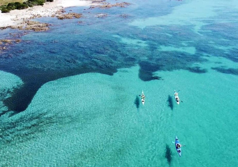 Orosei: Oasis of Biderosa Kayak Tour in the morning - FAQs