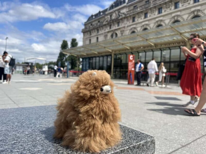 Orsay Museum: Museum Ticket Entry & 2h Private Guided Tour - The Practicalities of the Tour