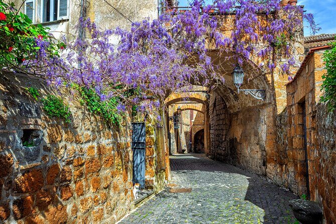 Orvieto and Civita di Bagnoregio from Civitavecchia - Private Tour - Final Thoughts