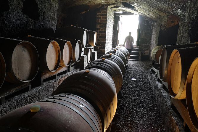 Orvieto by Evening: Small Group e-Bike tour with Dinner - Final Words