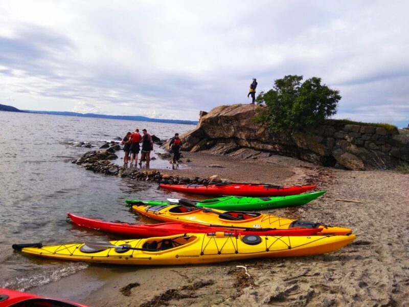 Oslo: 3-hour Kayaking Trip on the Oslofjord - Why This Kayaking Tour Stands Out