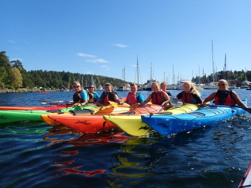 Oslo: 3-hour Kayaking Trip on the Oslofjord - Pricing and Value