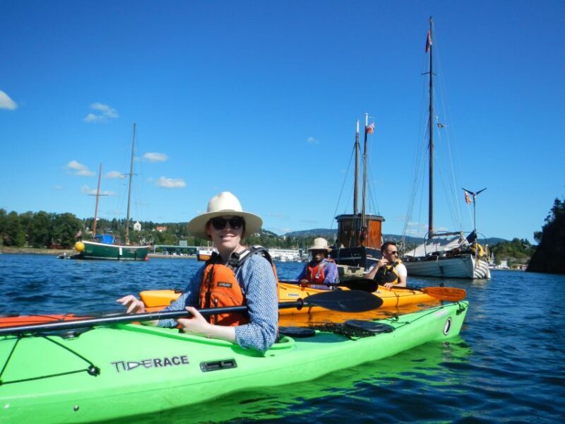 Oslo: 3-hour Kayaking Trip on the Oslofjord - Final Thoughts: Is It Worth It?