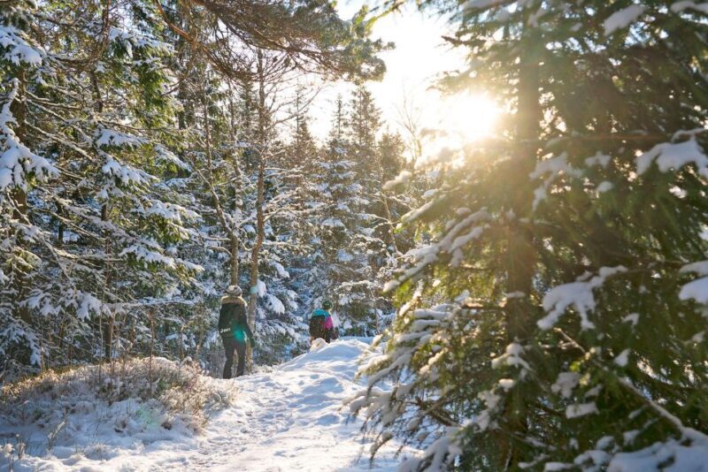 Oslo: Best View of the Oslofjord Winter Edition - The Sum Up