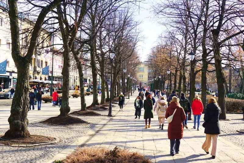 Oslo: City Tour & Traditional Norwegian Lunch or Dinner - The Sum Up