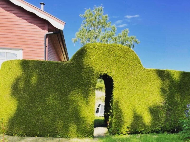 Oslo Island Walks: Island Hopping Tour - Key Points