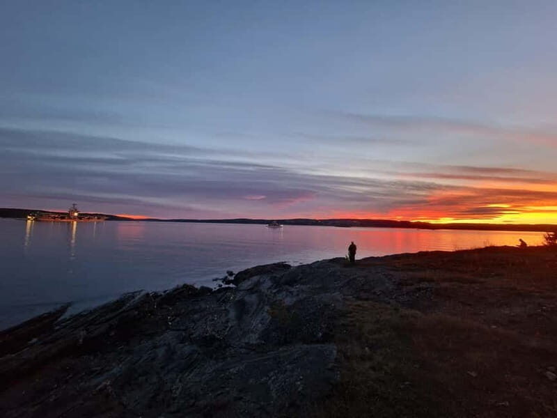 Oslo: Malmøya most beautiful Island Guided Hike-Waffle&Drink - Detailed Itinerary Breakdown  