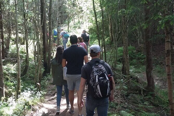 Oslo Nature walks: Forest to Fjord - Why This Tour Works