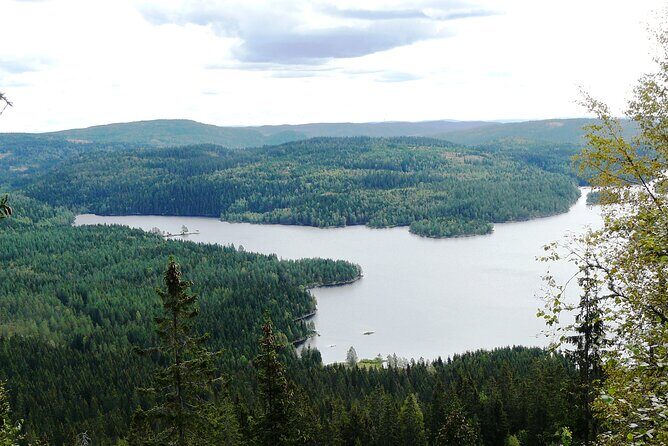 Oslo Nature walks: Forest to Fjord - Who Should Consider This Tour?