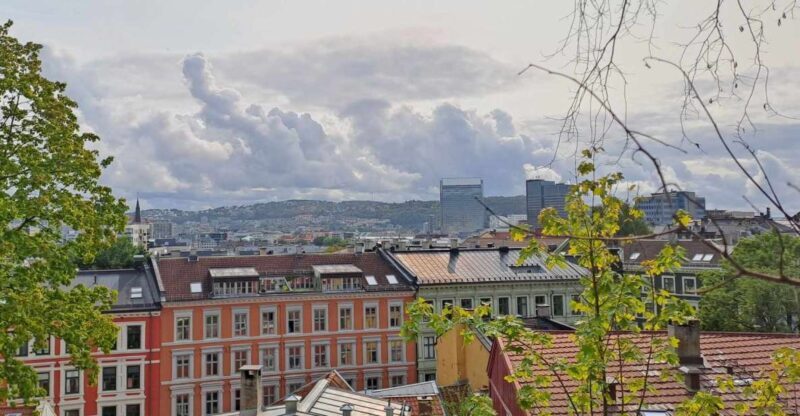 Oslo: Norwegian Food Tour & Hidden Gems City Walk - Authentic Norwegian Flavors & Cultural Insight