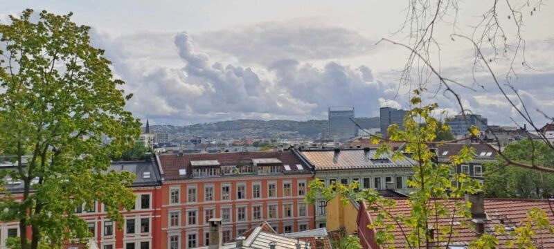 Oslo: Norwegian Food Tour & Hidden Gems City Walk - Final Thoughts