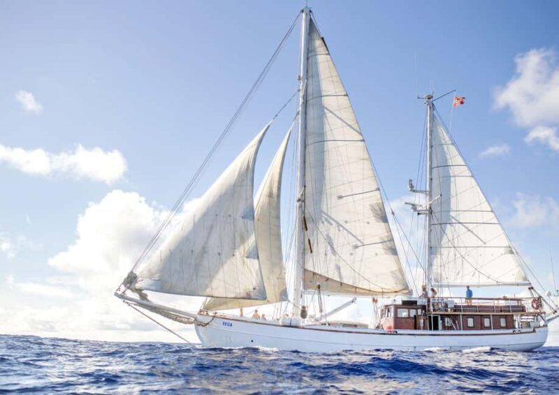 Oslo: Oslofjord Fjord-Style Dinner Cruise - Frequently Asked Questions