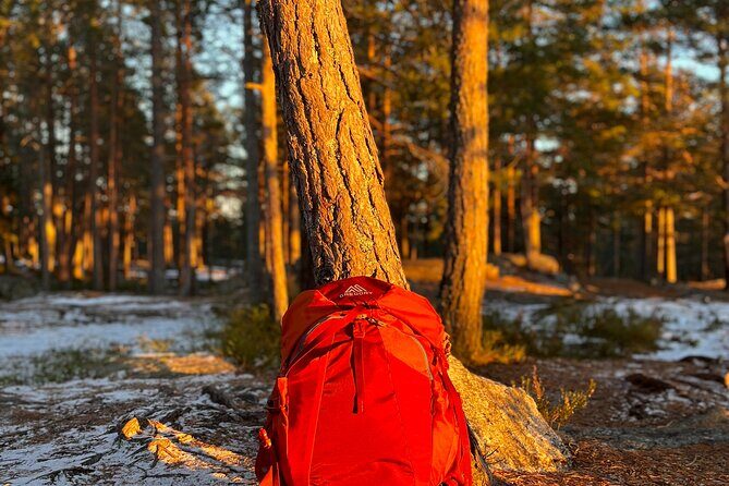 Oslo: Panoramic Fjord Hike Lead by a Local Guide and Dog - What to Expect from the Fjord Hike Experience
