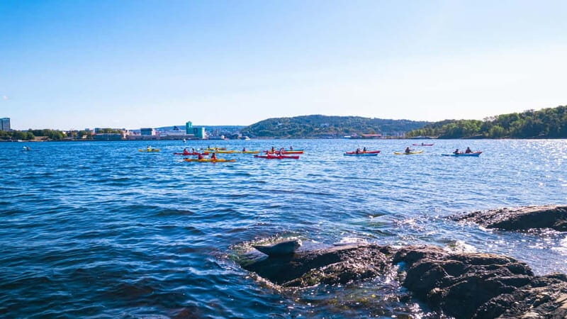 Oslo Sea Kayak Tour Fjord City - Key Points