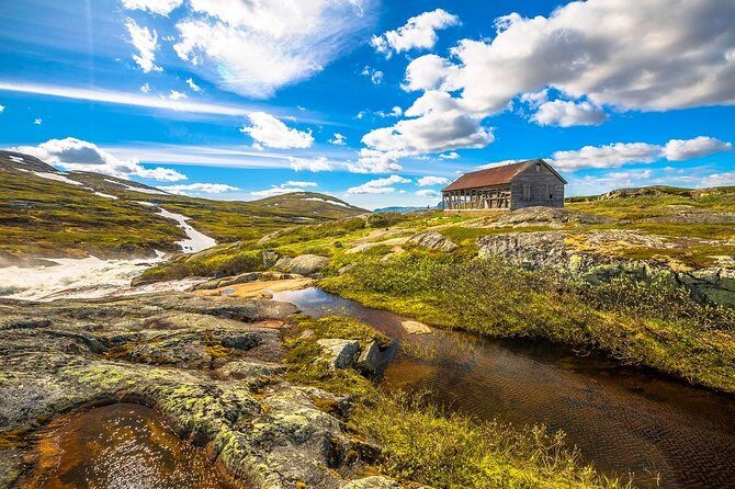 Oslo To Sognefjord Private Full Day Roundtrip Including Flam Railway - Who Should Book This Tour?