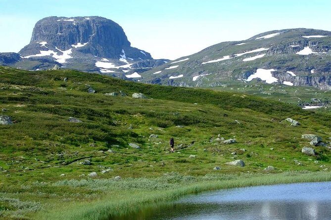 Oslo To Sognefjord Private Full Day Roundtrip Including Flam Railway - FAQ