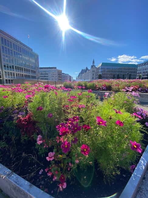 Oslo Walk:Private Walking TourCity Highlights & Hidden Gems - Who Would Love This Tour?