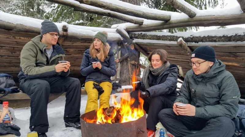 Oslo: Wilderness Skiing Tour with Lunch by the Fire - Key Points