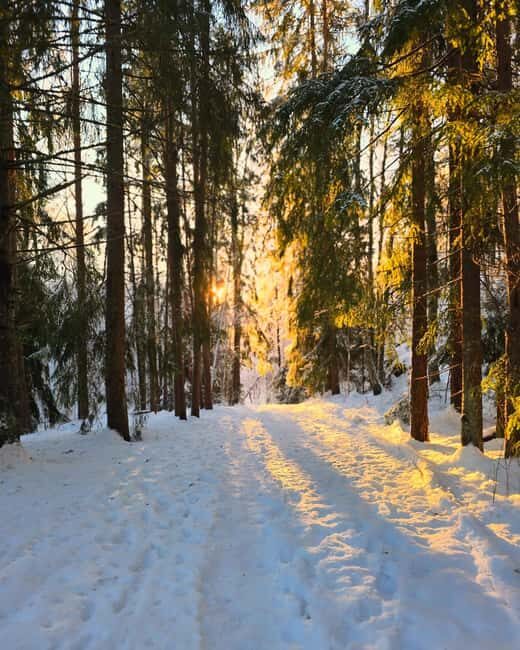 Oslo: Winter Wonderland Forest Hike and Campfire with a Dog - Final Thoughts