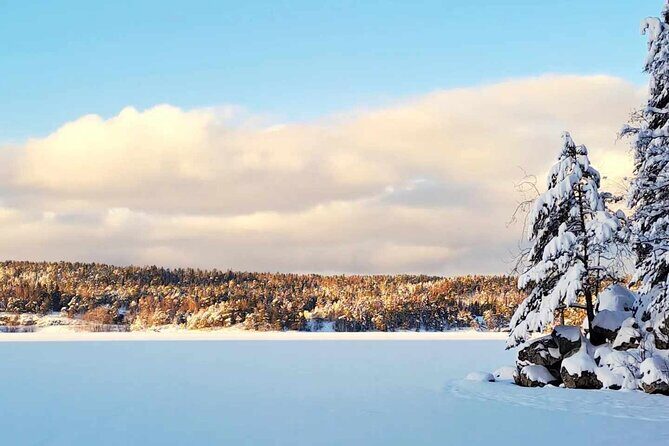 Oslo: Winter wonderland forest hike & campfire with a dog - A Well-Organized Introduction to Oslo’s Winter Wilderness