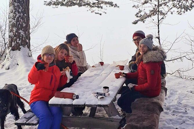Oslo: Winter wonderland forest hike & campfire with a dog - Who Should Book This Tour?
