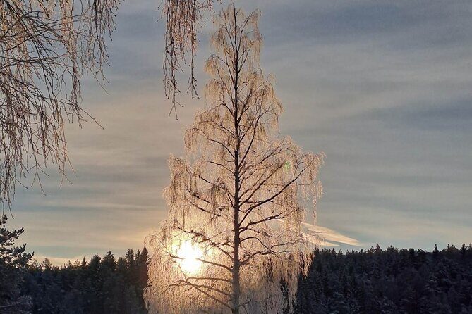 Oslo: Winter wonderland forest hike & campfire with a dog - FAQ