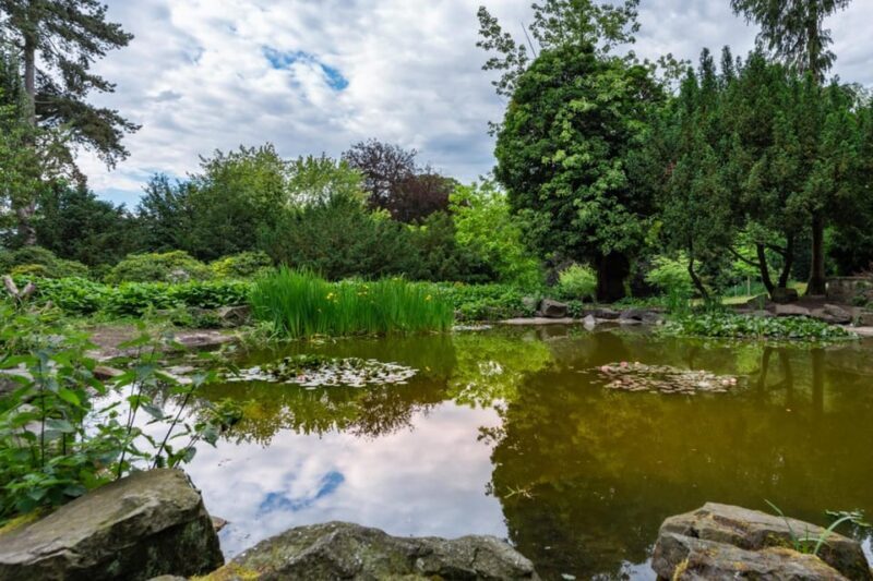 Osnabrück: Gertrudenberg-Führung (Erlebnistour) - Osnabrück: Gertrudenberg-Führung (Erlebnistour) – A Deep Dive into Hidden Histories and Stunning Views