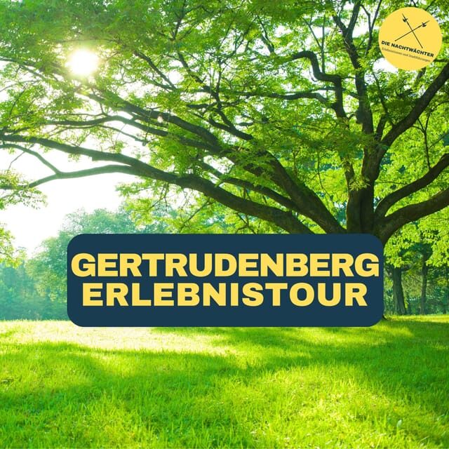 Osnabrück: Gertrudenberg-Führung (Erlebnistour) - Key Points