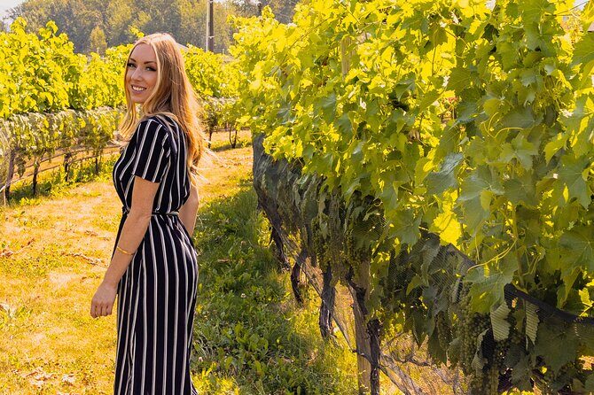 Osoyoos Half Day Wine Tour (Incl. Tasting Fees & Guide Gratuity!) - What to Expect from the Osoyoos Half Day Wine Tour