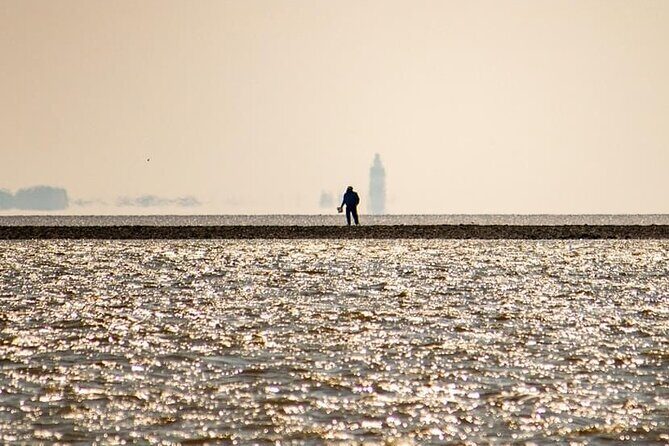 Osprey Viking Cruises - Key Points