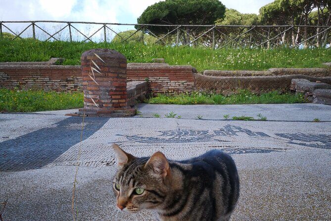 Ostia Antica Archaeological Park with Italian Gelato - A Comprehensive Look at the Tour
