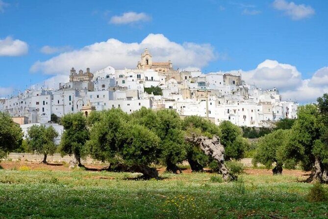 Ostuni, Alberobello and Polignano a Mare. Departing from Lecce - Who Is This Tour Best For?