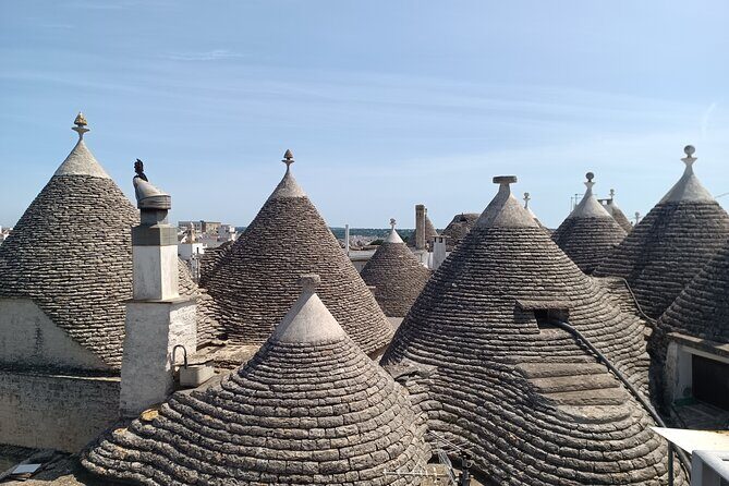 Ostuni: Alberobello, Locorotondo, Ostuni & Apulian Brunch - Food and Tasting Experiences