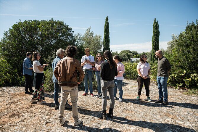 Ostuni DOC winetour and tasting. - Who Would Love This Experience?