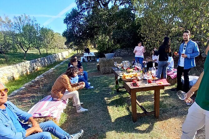 Ostuni DOC winetour and tasting. - Practical Details