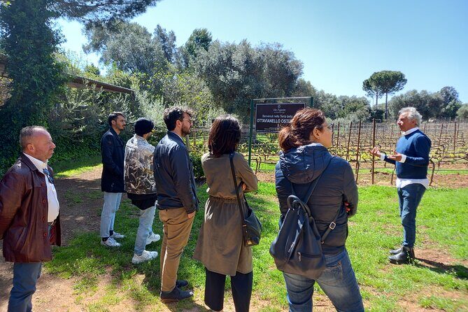 Ostuni DOC winetour and tasting. - FAQ