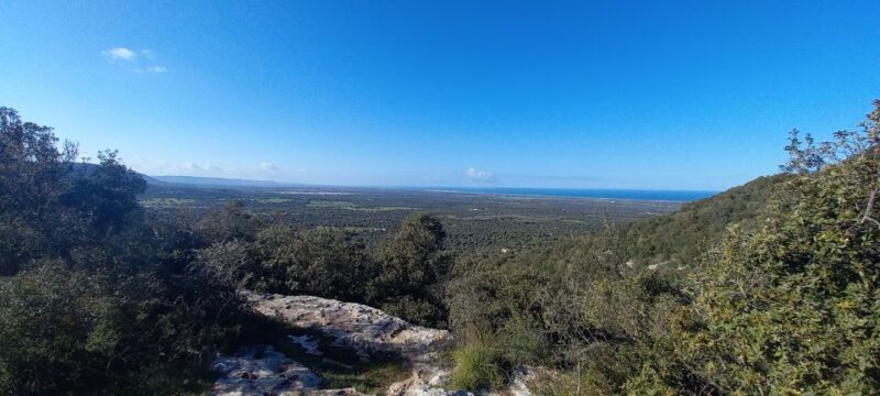 Ostuni: Guided e-bike tour + countryside tasting stop - Who Will Love This Tour?