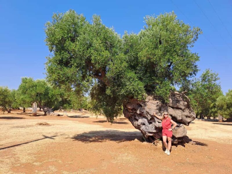 Ostuni: Guided e-bike tour to rock village & olive trees - What Makes This Tour Special?