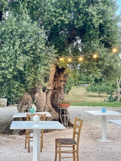 Ostuni: Masseria tour among thousand-year-old olive trees with oil tasting - Final Thoughts  