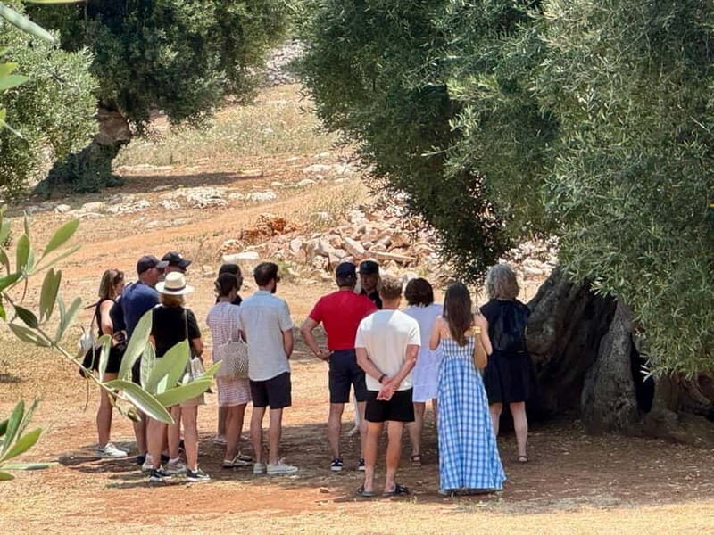 Ostuni: Masseria tour among thousand-year-old olive trees with oil tasting - FAQs  