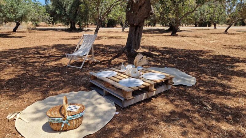 Ostuni: San Vito dei Normani: Organic Picnic in Olive Grove - Key Points
