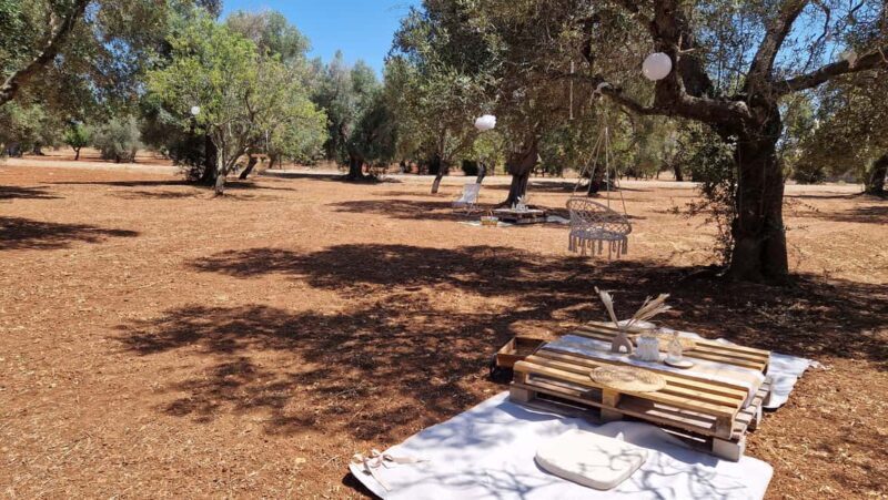 Ostuni: San Vito dei Normani: Organic Picnic in Olive Grove - What to Expect from the Olive Grove Picnic