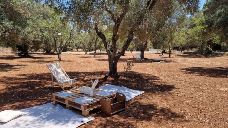 Ostuni: San Vito dei Normani: Organic Picnic in Olive Grove - Is This Tour Worth It?