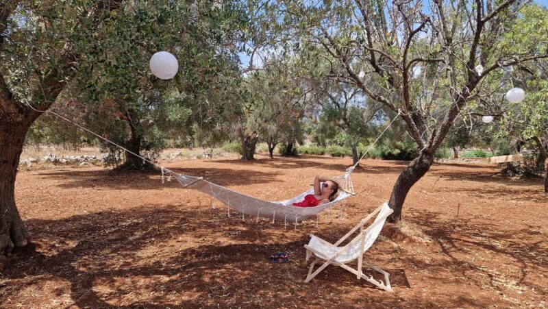 Ostuni: San Vito dei Normani: Organic Picnic in Olive Grove - Final Thoughts