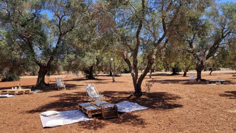 Ostuni: San Vito dei Normani: Organic Picnic in Olive Grove - FAQ