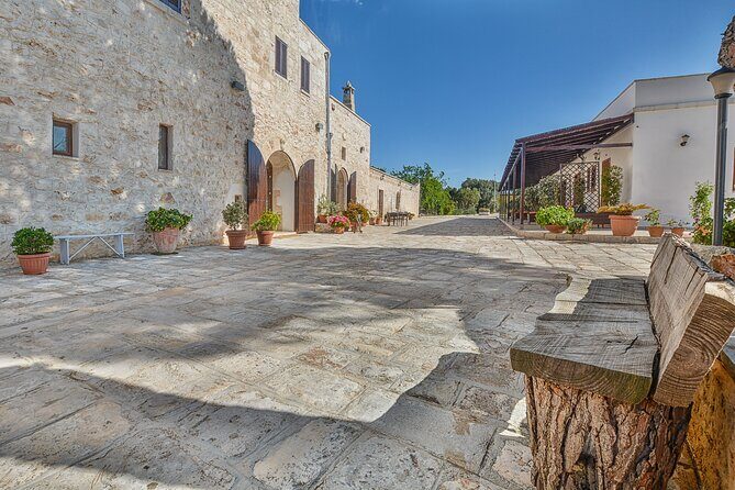 Ostuni : Tasting of Extra Virgin Olive Oil in Masseria - An In-Depth Review of the Olive Oil Tasting Tour