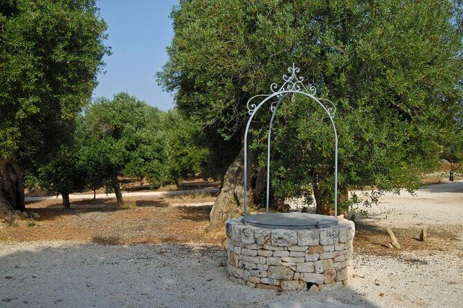 Ostuni : Tasting of Extra Virgin Olive Oil in Masseria - Who Is This Tour Best For?